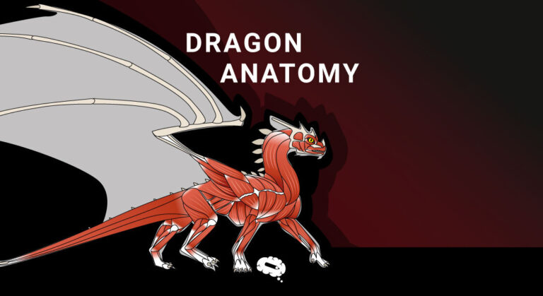 What Exactly Is Dragon Anatomy, And What Is It Based On?