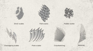 What Exactly Is Dragon Anatomy, And What Is It Based On?