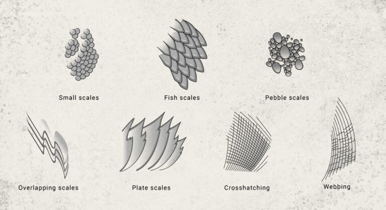 What Exactly Is Dragon Anatomy, And What Is It Based On?