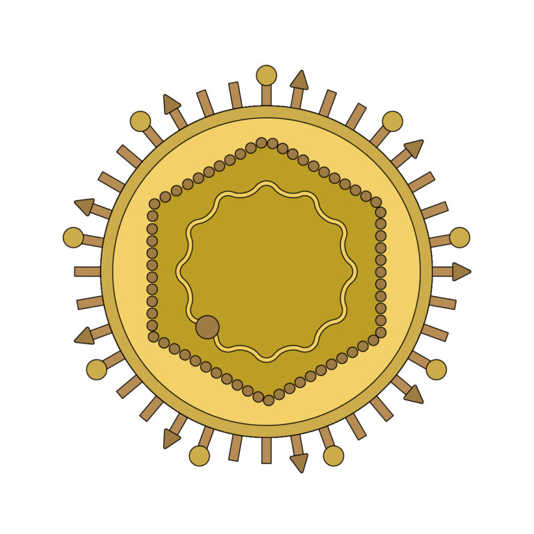 Learn About The 8 Viruses That Can Cause Cancer