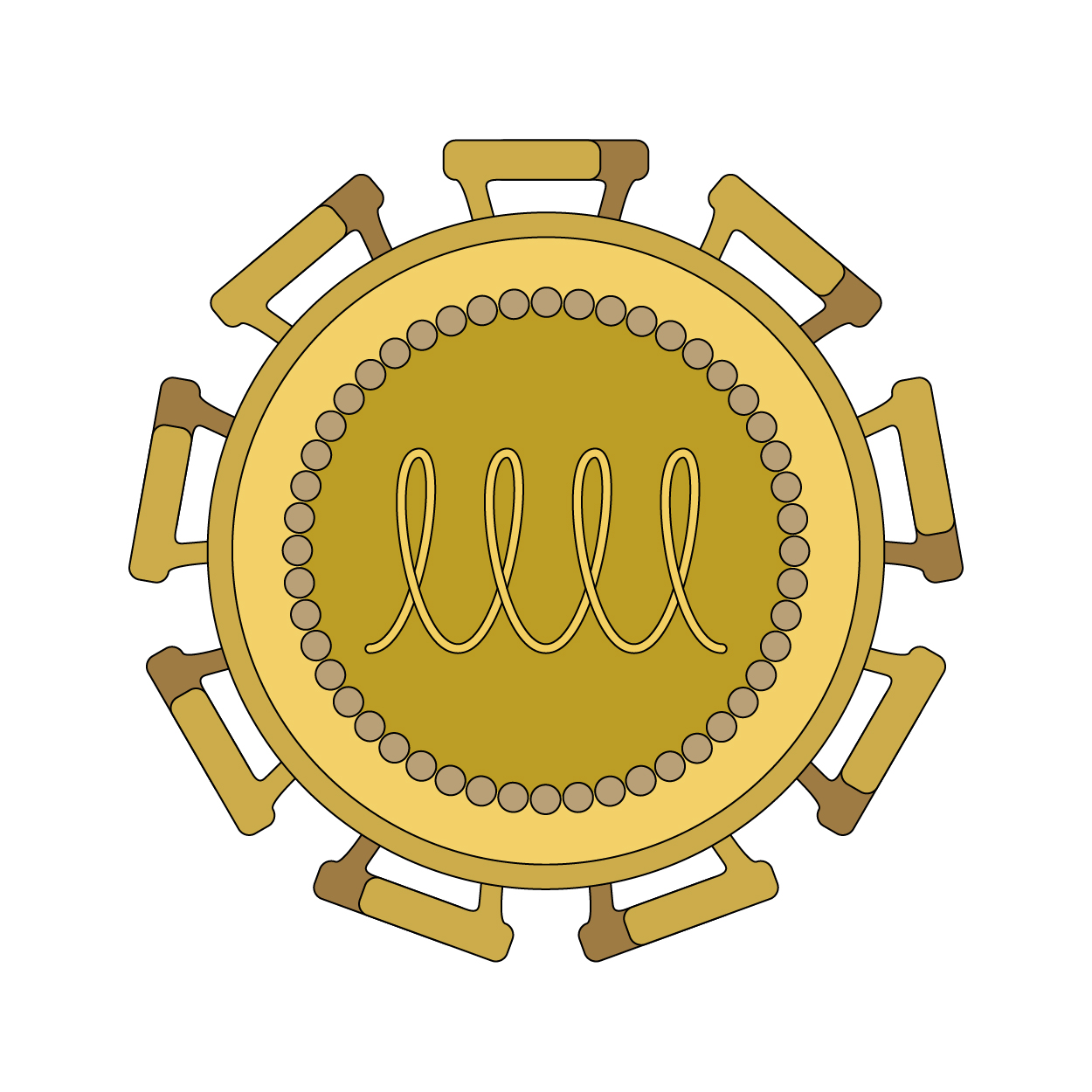 Learn About The 8 Viruses That Can Cause Cancer