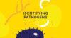 Explore the Different Methods for Identifying Pathogens