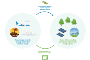 Climate Compensation: How Does Carbon Offsetting Work?