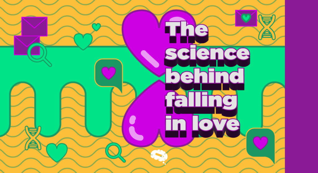 The Science Behind Falling in Love: Why Does It Feel So Good?