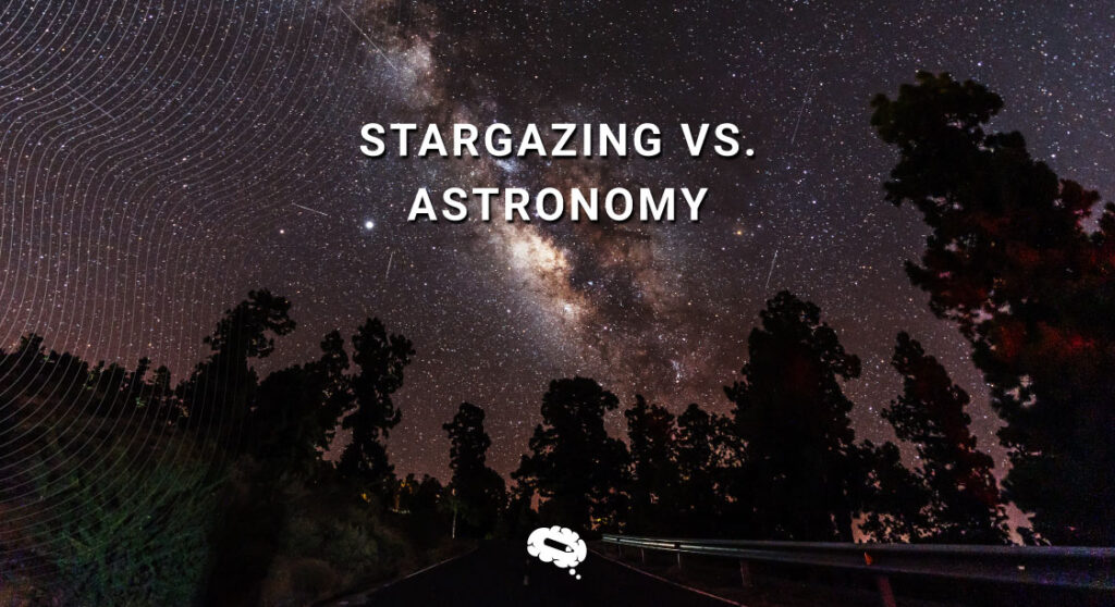 Sporotrichosis: Understanding the Sporothrix Fungus