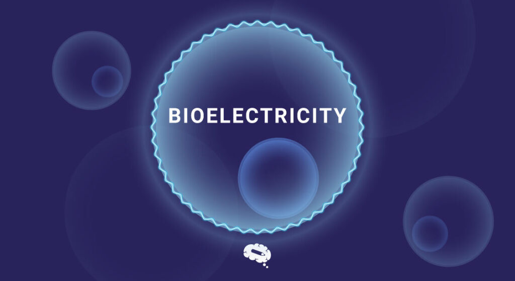 Bioelectricity in Cancer Treatment