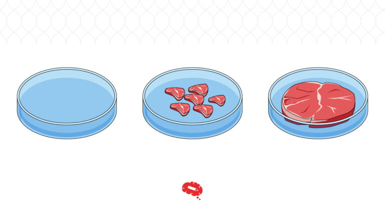 What is Cultivated Meat? A Guide to Lab-Grown Meat