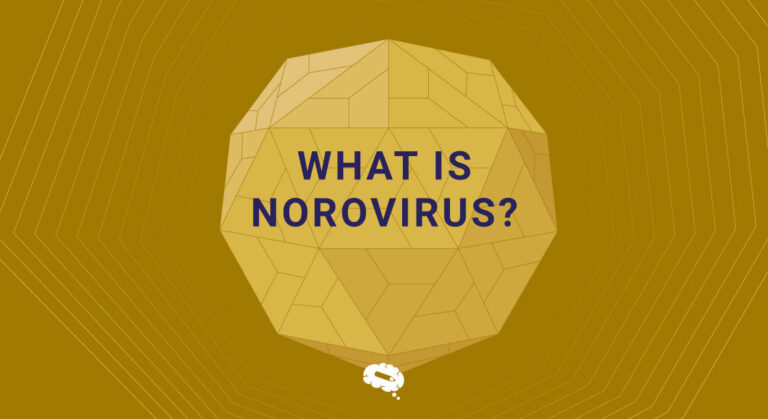 Winter Vomiting Bug: What is Norovirus and How to Prevent It?