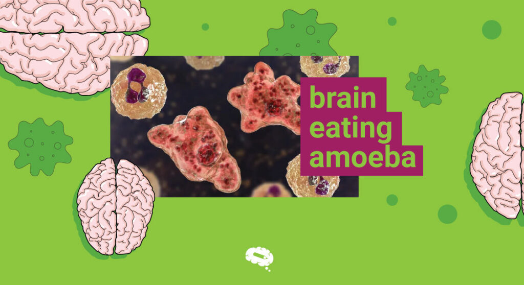 What Is The Fatal Brain-Eating Amoeba and How Does It Spread?