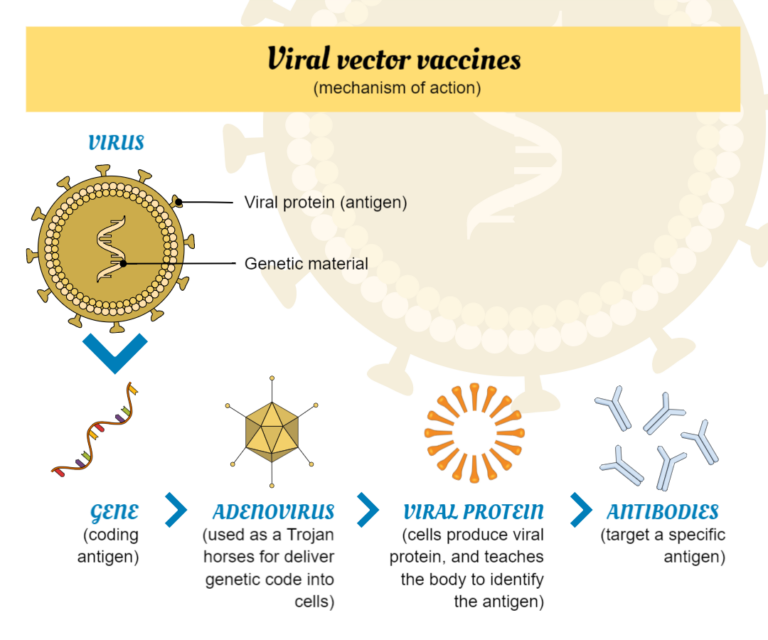 Next-Generation Vaccines: A New Frontier in Disease Control - Mind the ...