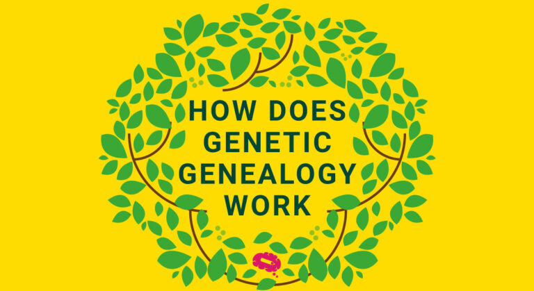 Decoding Your Ancestry: How Does Genetic Genealogy Work? - Mind the ...