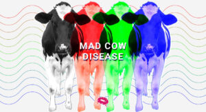 La maladie de la vache folle : Causes, symptômes et prévention - Mind ...