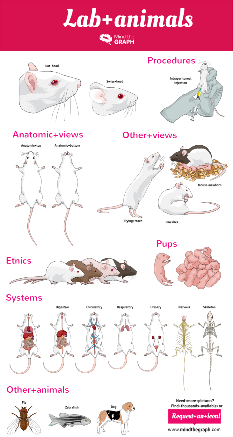 13 Advantages of Subscribing to Mind the Graph