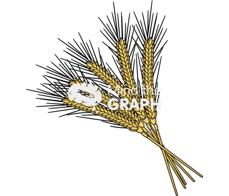 What Is A Genetically Modified Organism? Understand GMOs Here