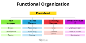 Classification Writing: How to Group Ideas Effectively