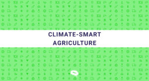 The Sustainability Science: Exploring Climate-Smart Agriculture