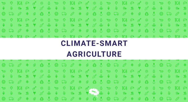 The Sustainability Science: Exploring Climate-Smart Agriculture