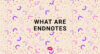 What Are Endnotes? Purpose And Usage Explained