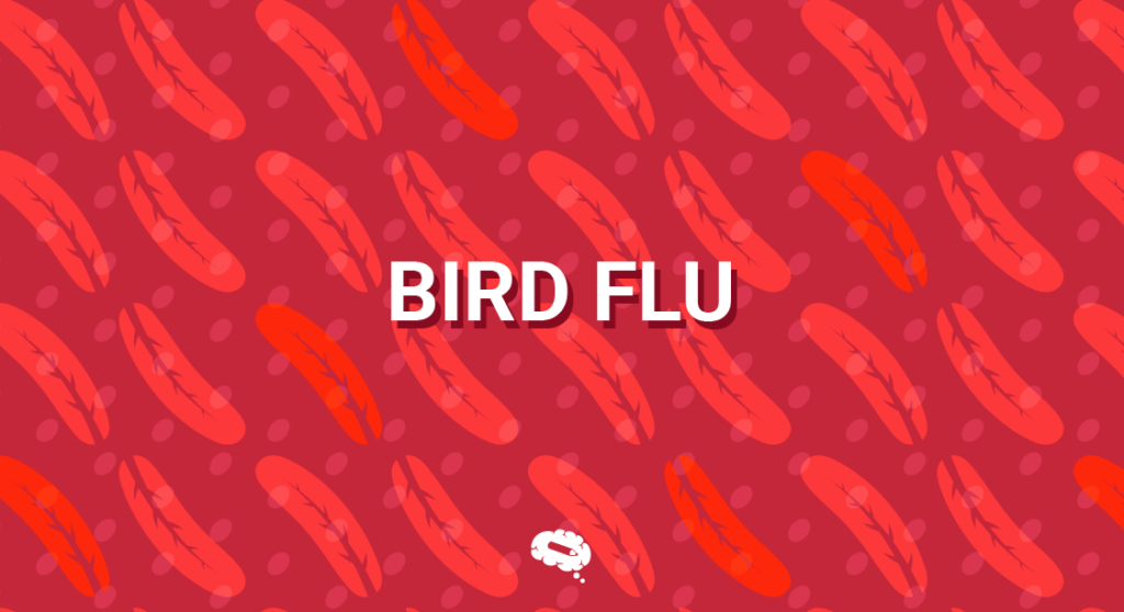 The Impact of Bird Flu: Understanding Avian Influenza