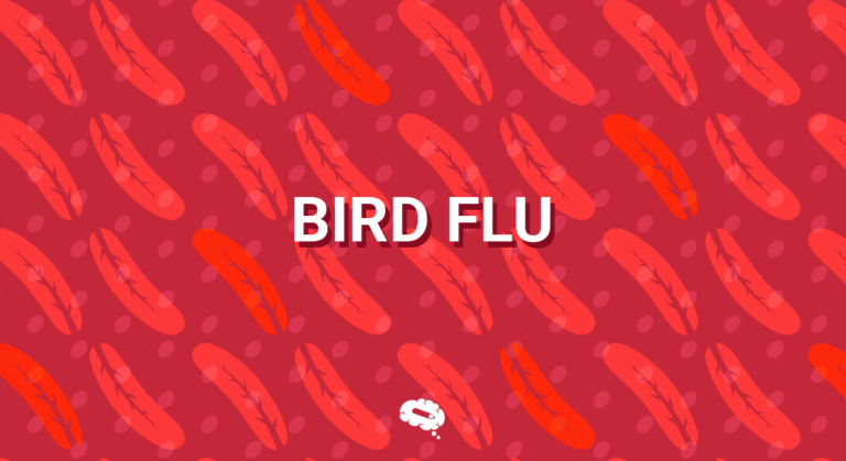 The Impact of Bird Flu: Understanding Avian Influenza