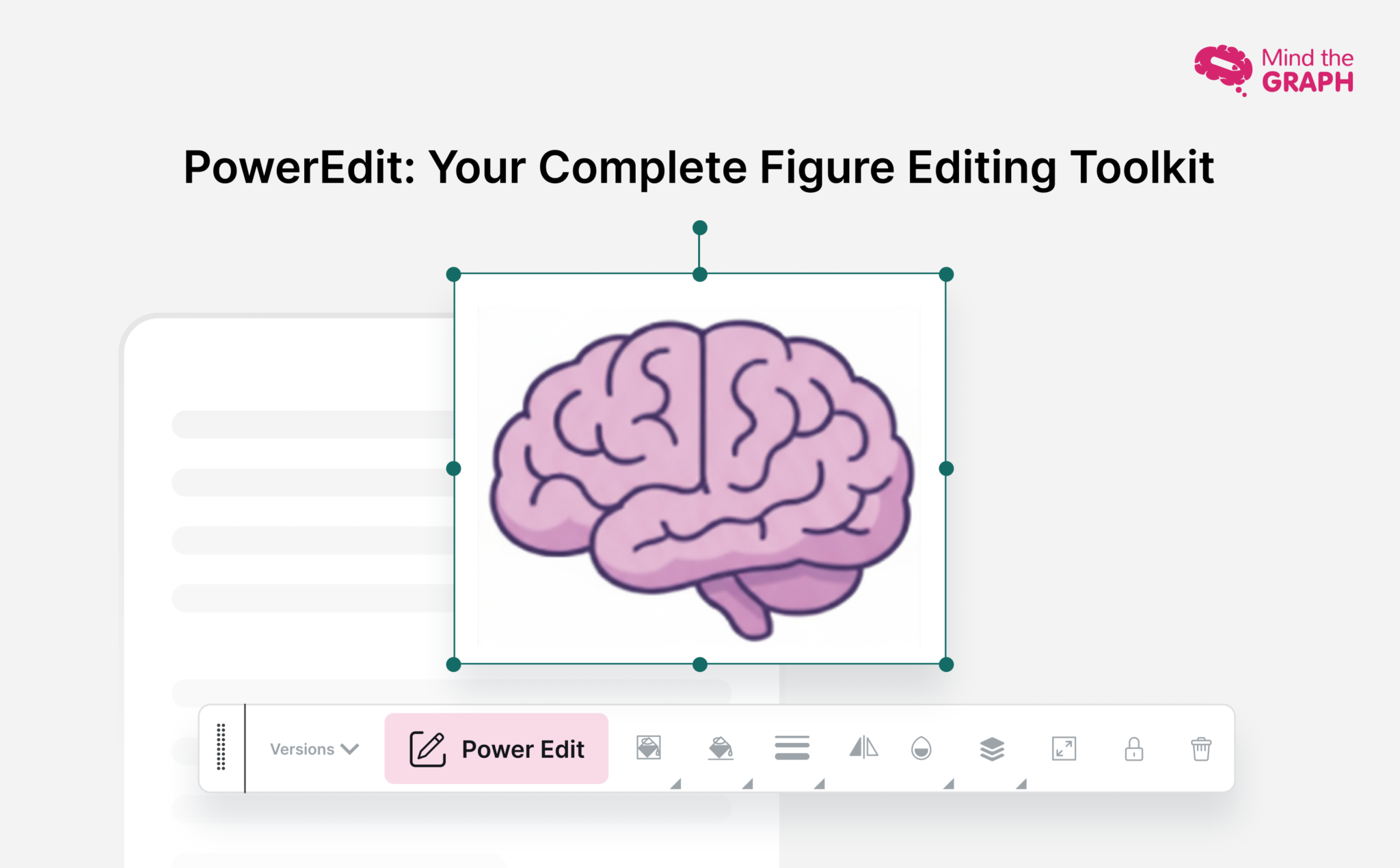 Mind the Graph 博客 - 您的科学可以很美！